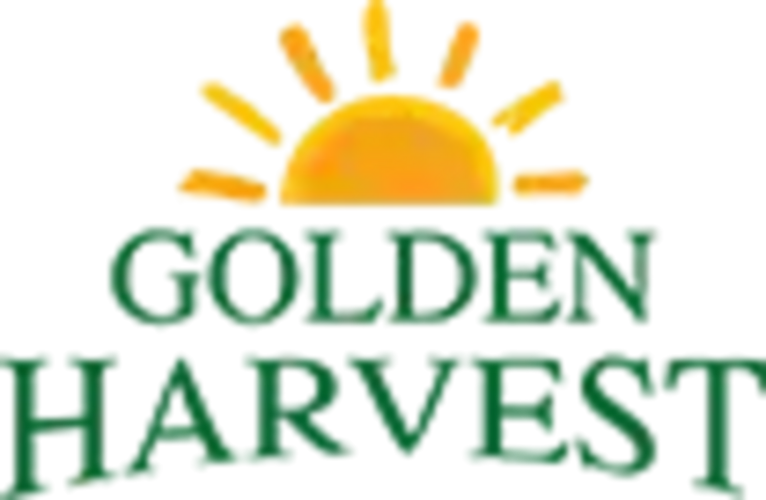 Data Analytics Job Ready Program | Ostad